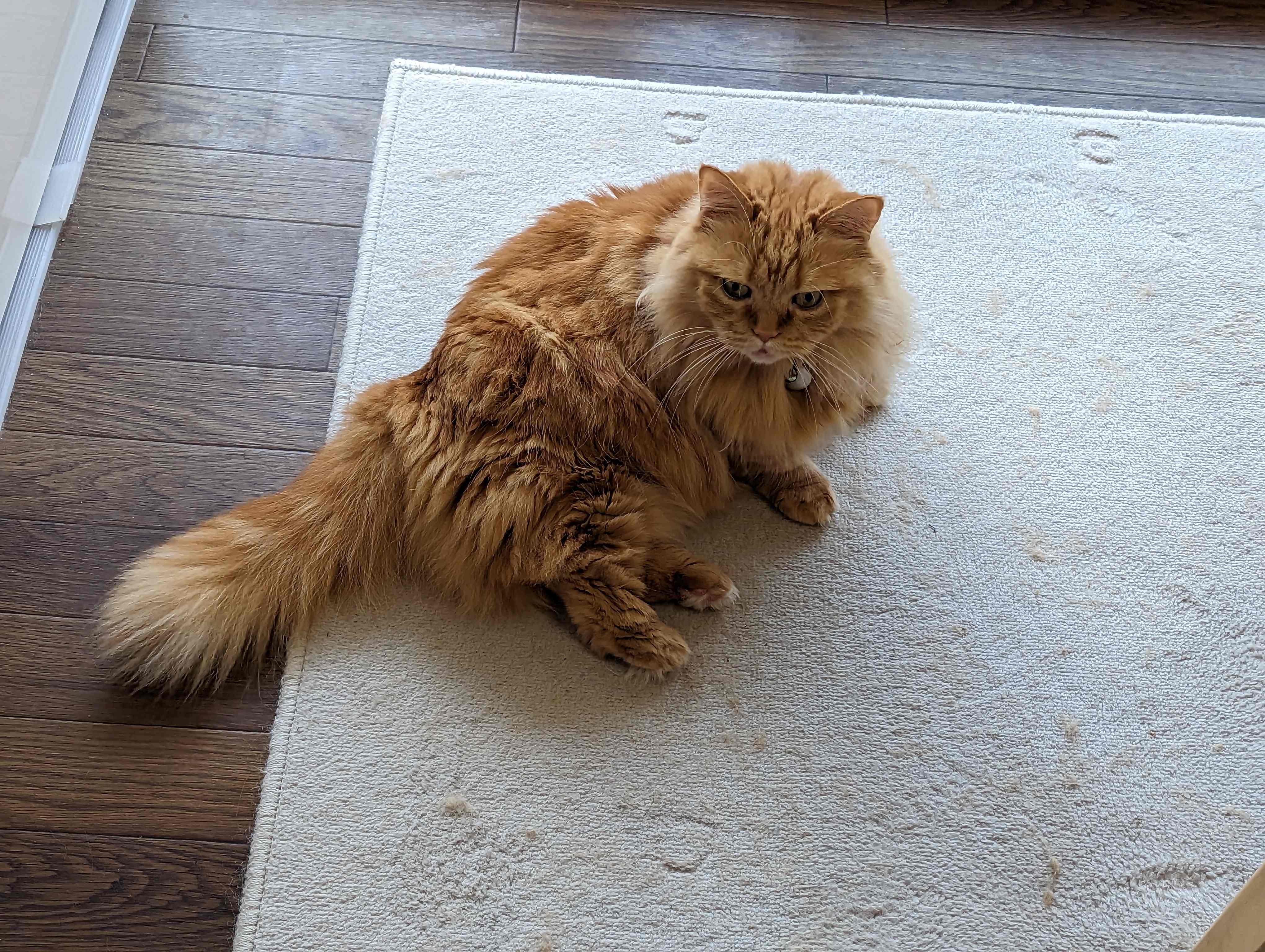 無宗教型スピリチュアル層の遊び？｜Sachiko Uchiyama｜coconalaブログ