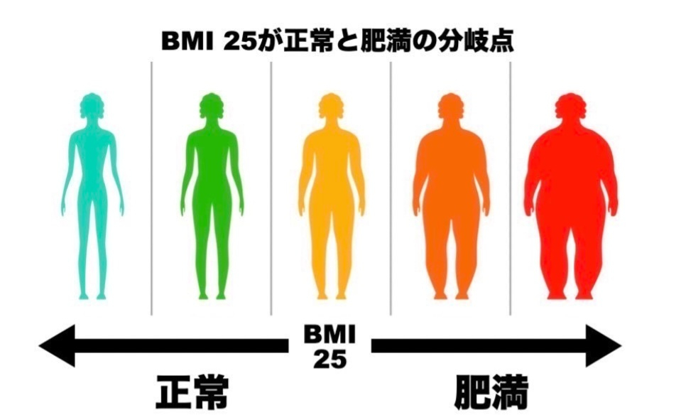 痩せるスピードを知る方法【vol1】｜うっしー＠ストレス0ダイエット｜coconalaブログ