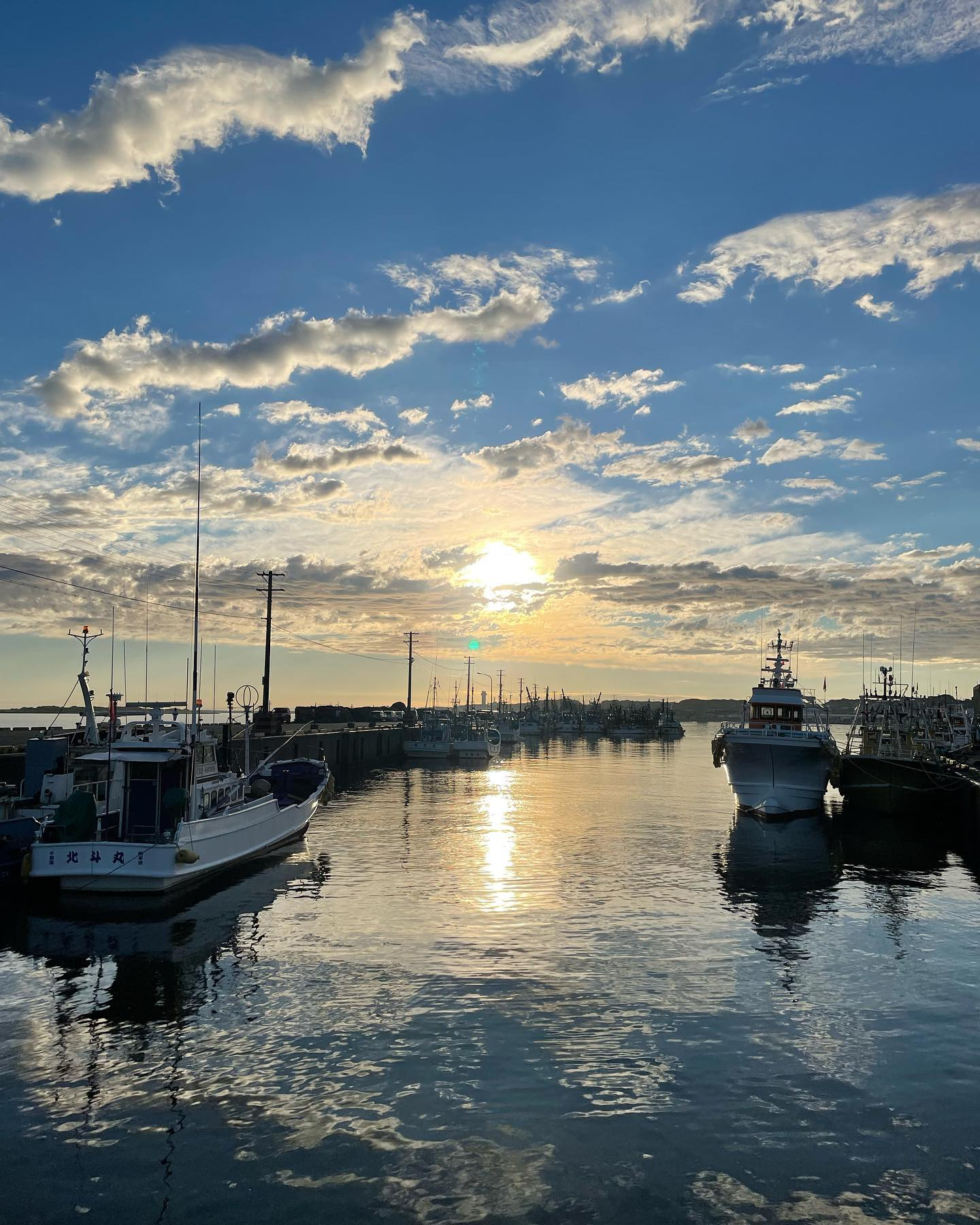 Amazonプライム｜yuki_mikan｜coconalaブログ