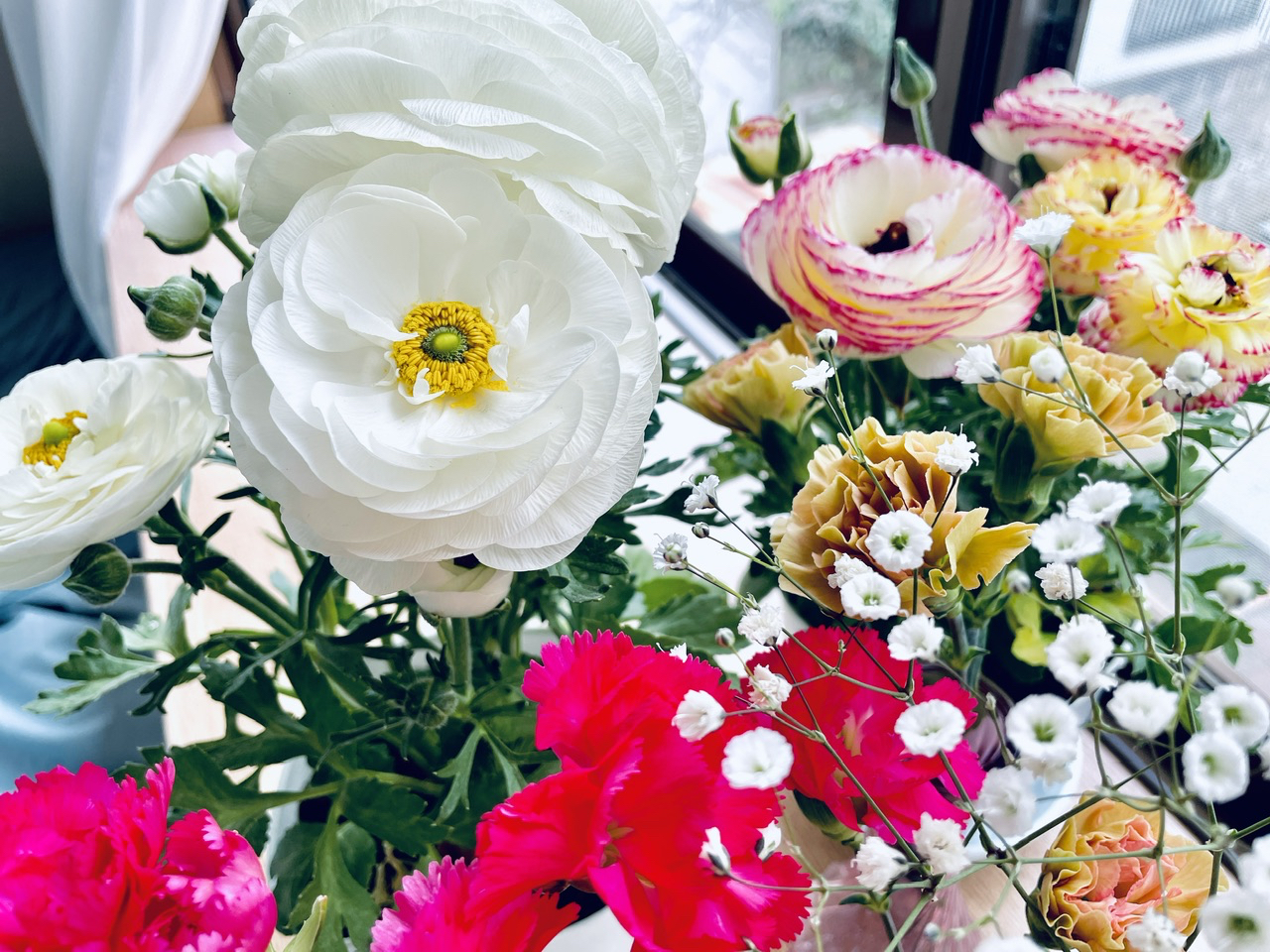 3月21日トリプル開運日一粒万倍日・天赦日・寅の日｜cocoroココロ｜coconalaブログ