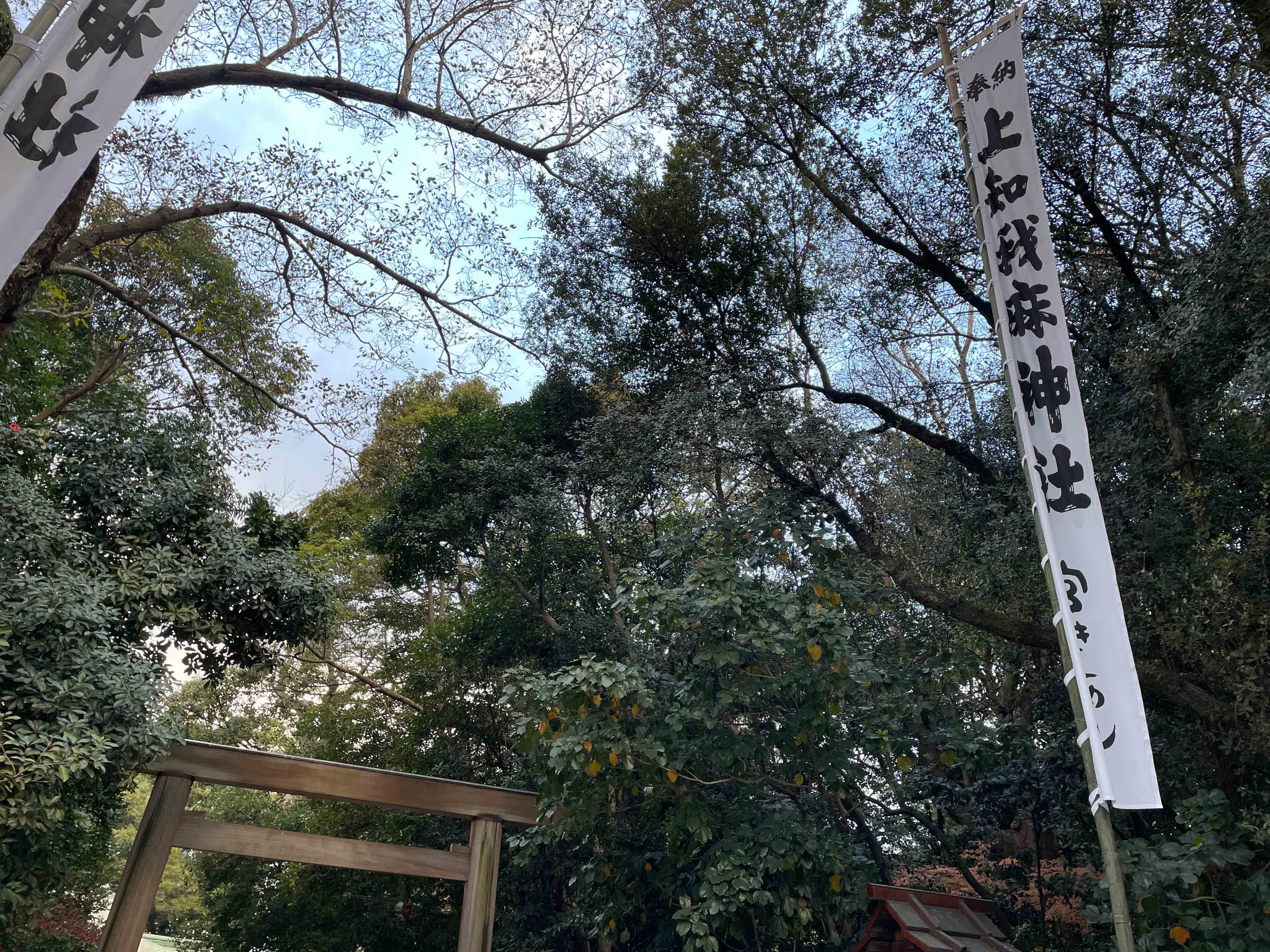 熱田神宮(上知我麻神社)｜cocoroココロ｜coconalaブログ