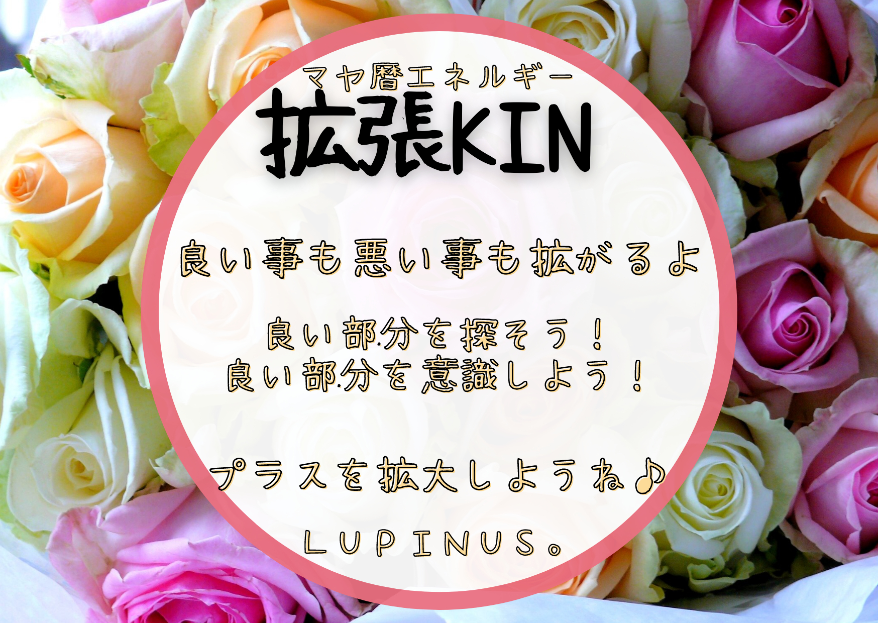 k152×拡張KIN+黒KIN 拡げていく日 | わんちゃんのパワーストーンショップ ルピナス