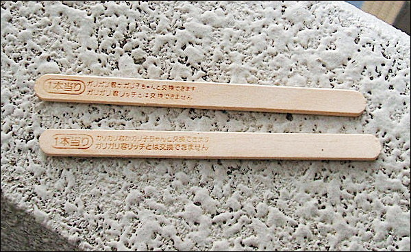 予期せぬ出来事｜くぬぎ亭｜coconalaブログ