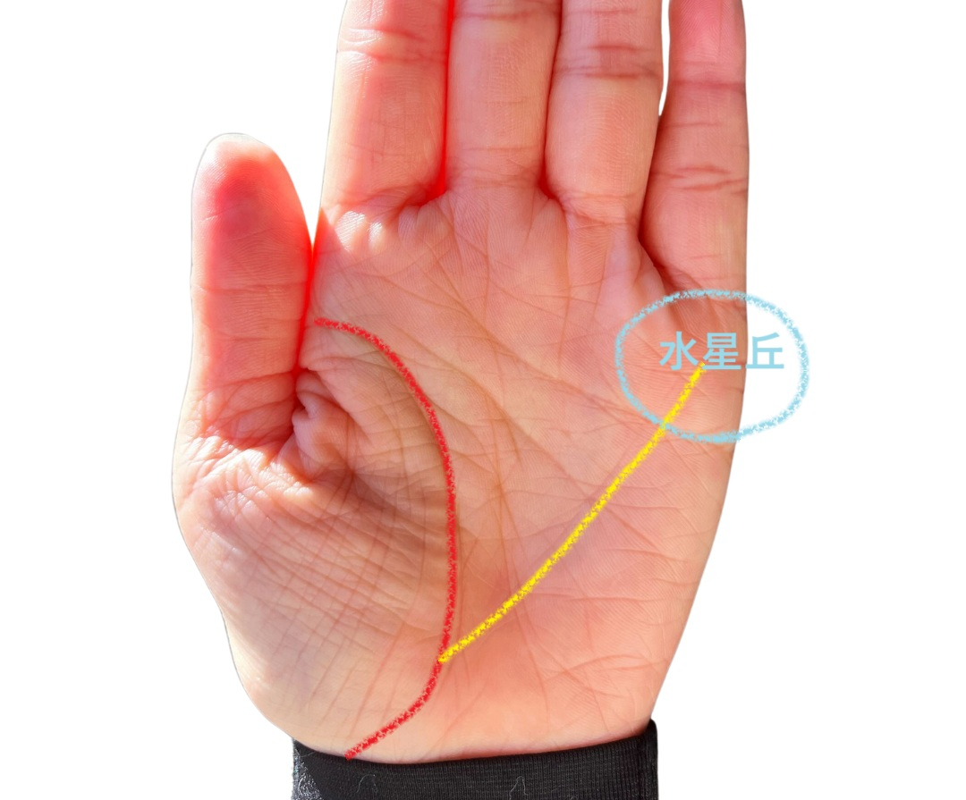 【手相】起業向きかも？な線！あなたはある？｜手相とタロット KONI｜coconalaブログ