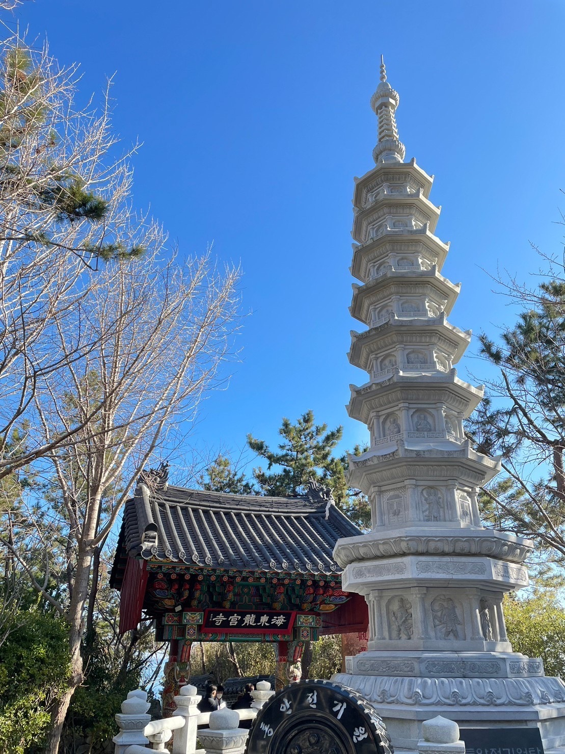 韓国・釜山旅行 3日目（海東龍宮寺やmuseum1など）｜ハチドリ KR｜coconalaブログ