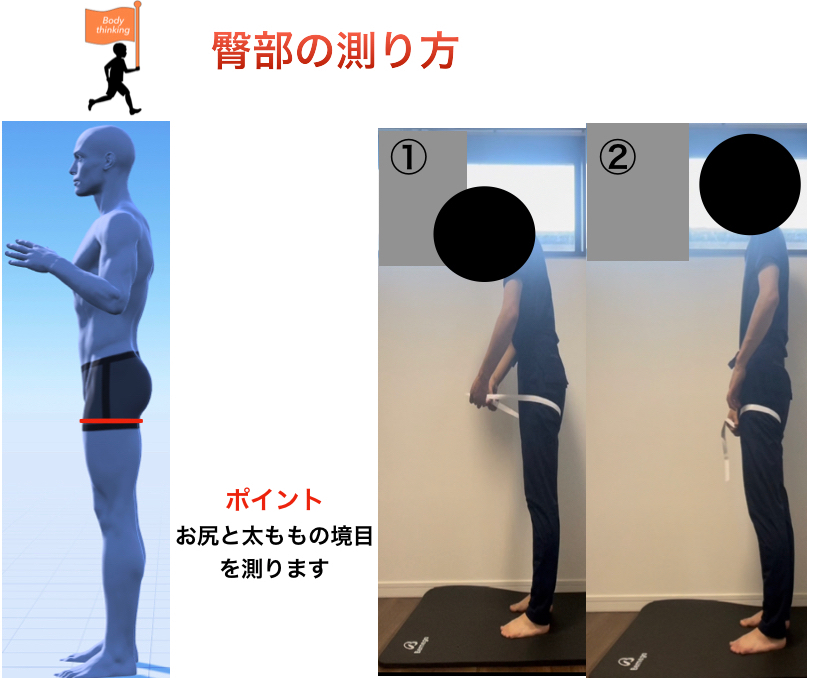 もしかしたら下半身太りかも！？太ももの平均値は？｜藤PT｜coconalaブログ