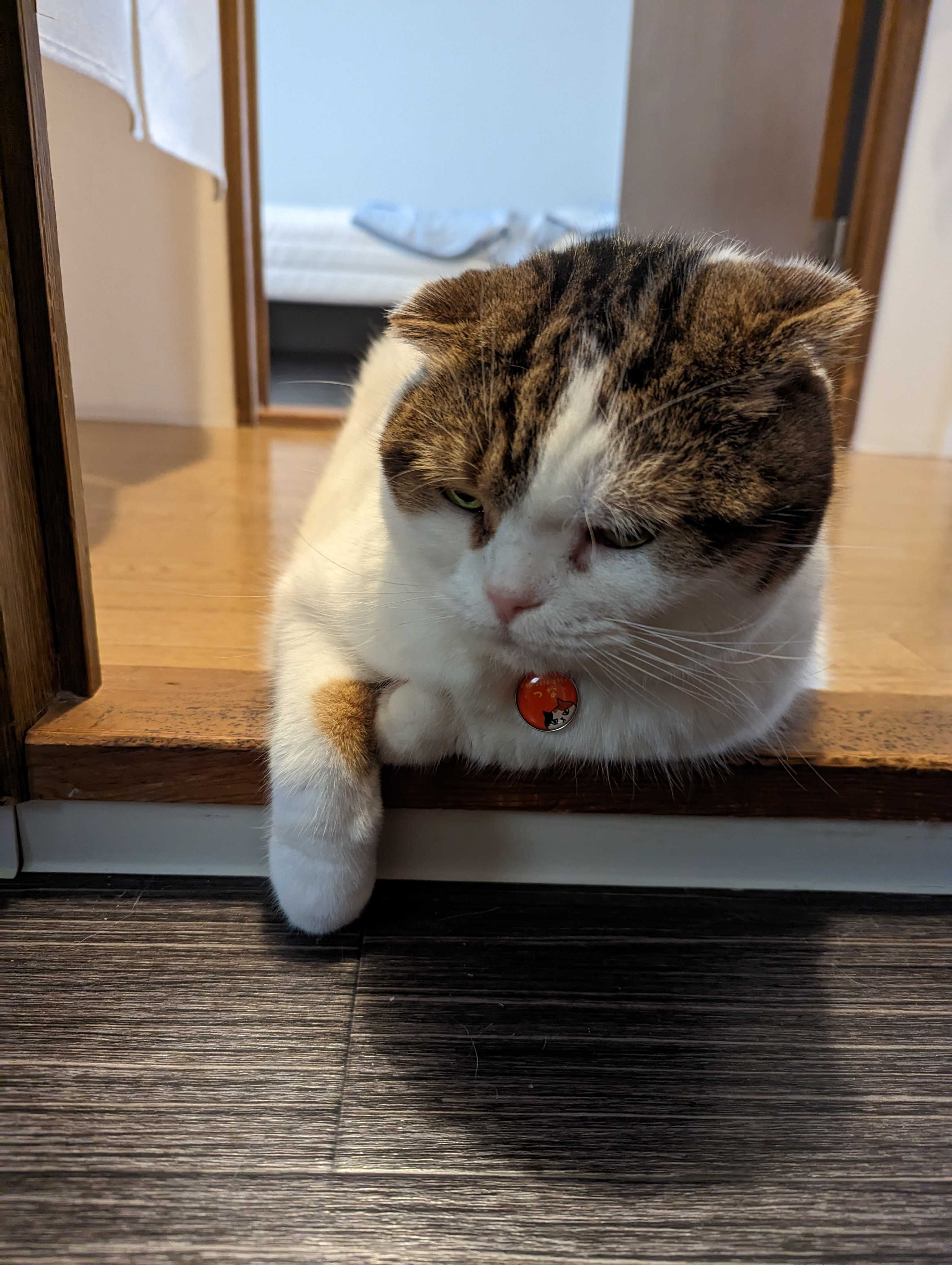 治らない病気ってあるんですよ｜Sachiko Uchiyama｜coconalaブログ