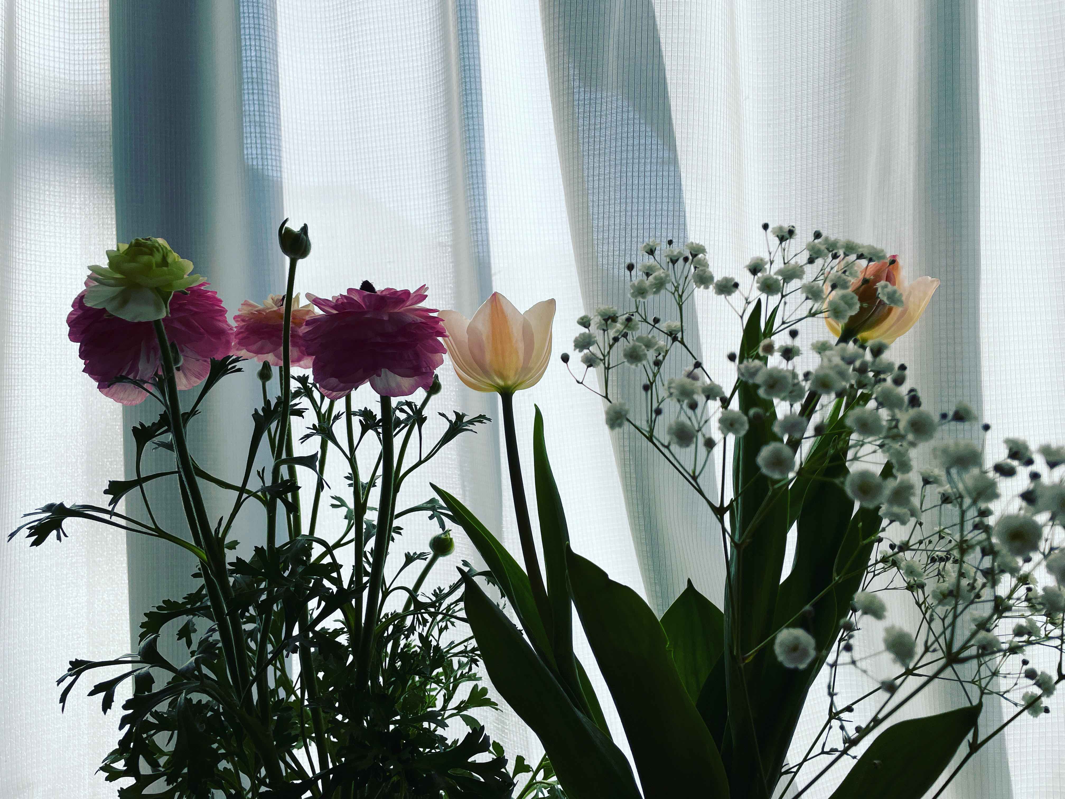 本日 新月16:06〜 魚座の新月 願いごと｜cocoroココロ｜coconalaブログ