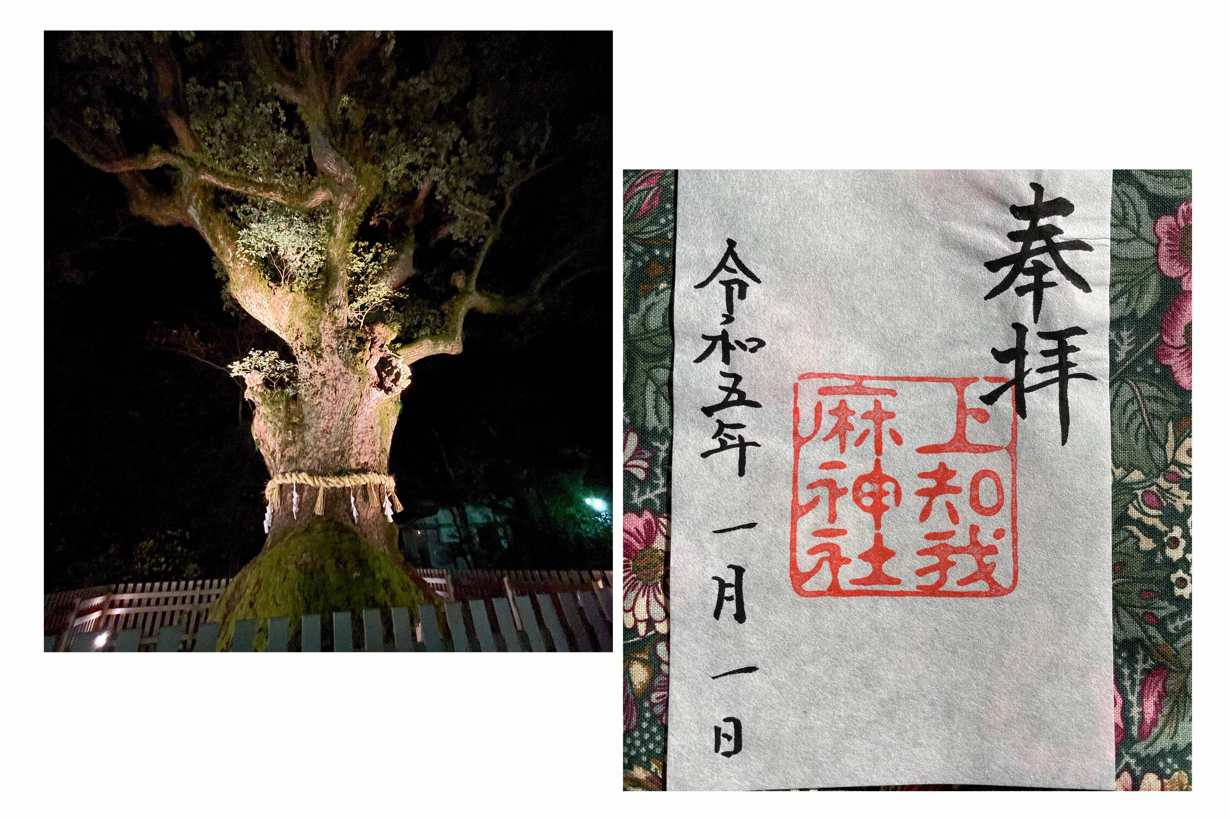 熱田神宮(上知我麻神社)｜cocoroココロ｜coconalaブログ