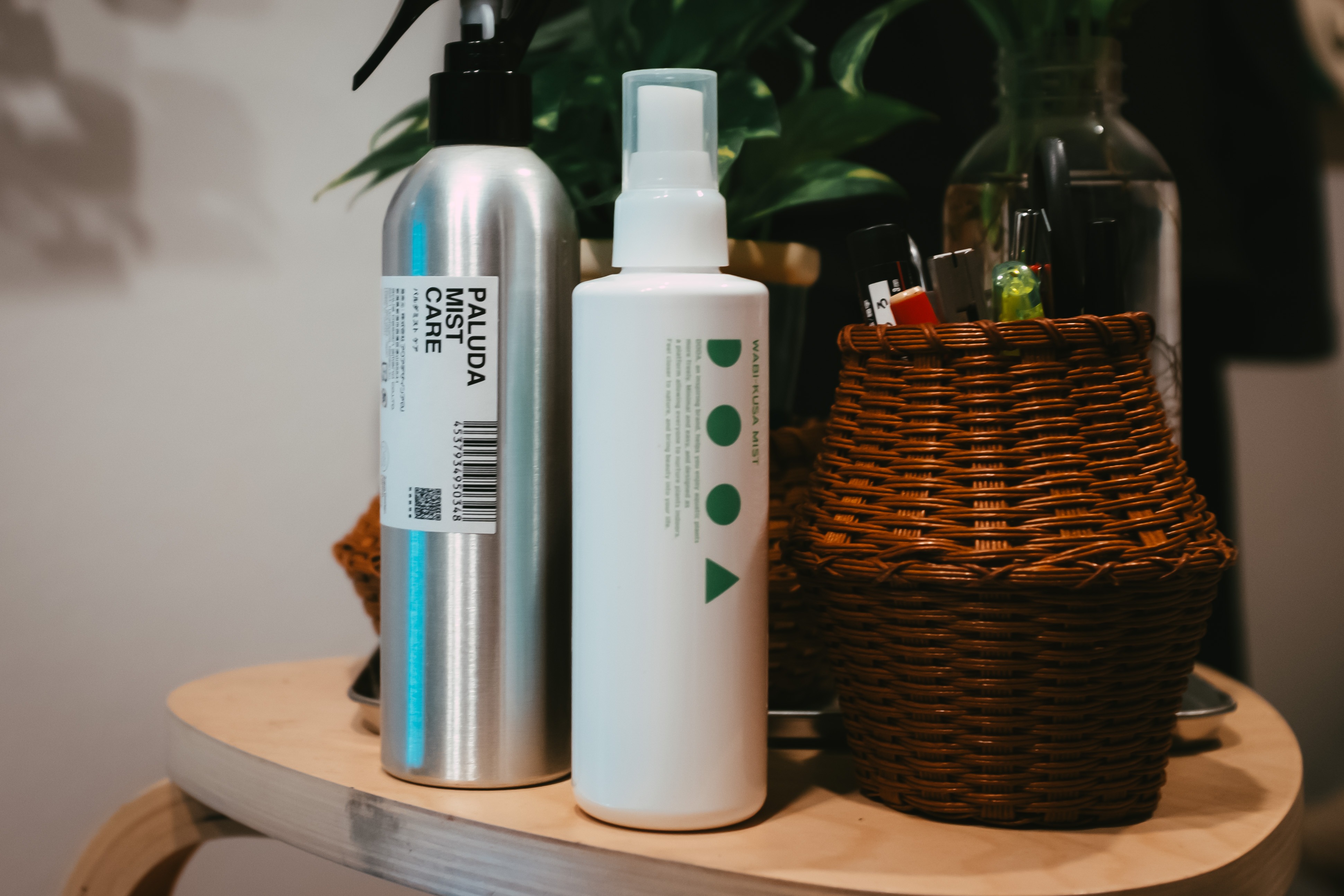 ADAショップ銀座で買い物【インテリア】【観葉植物】【ADA】｜1995年生まれ｜coconalaブログ