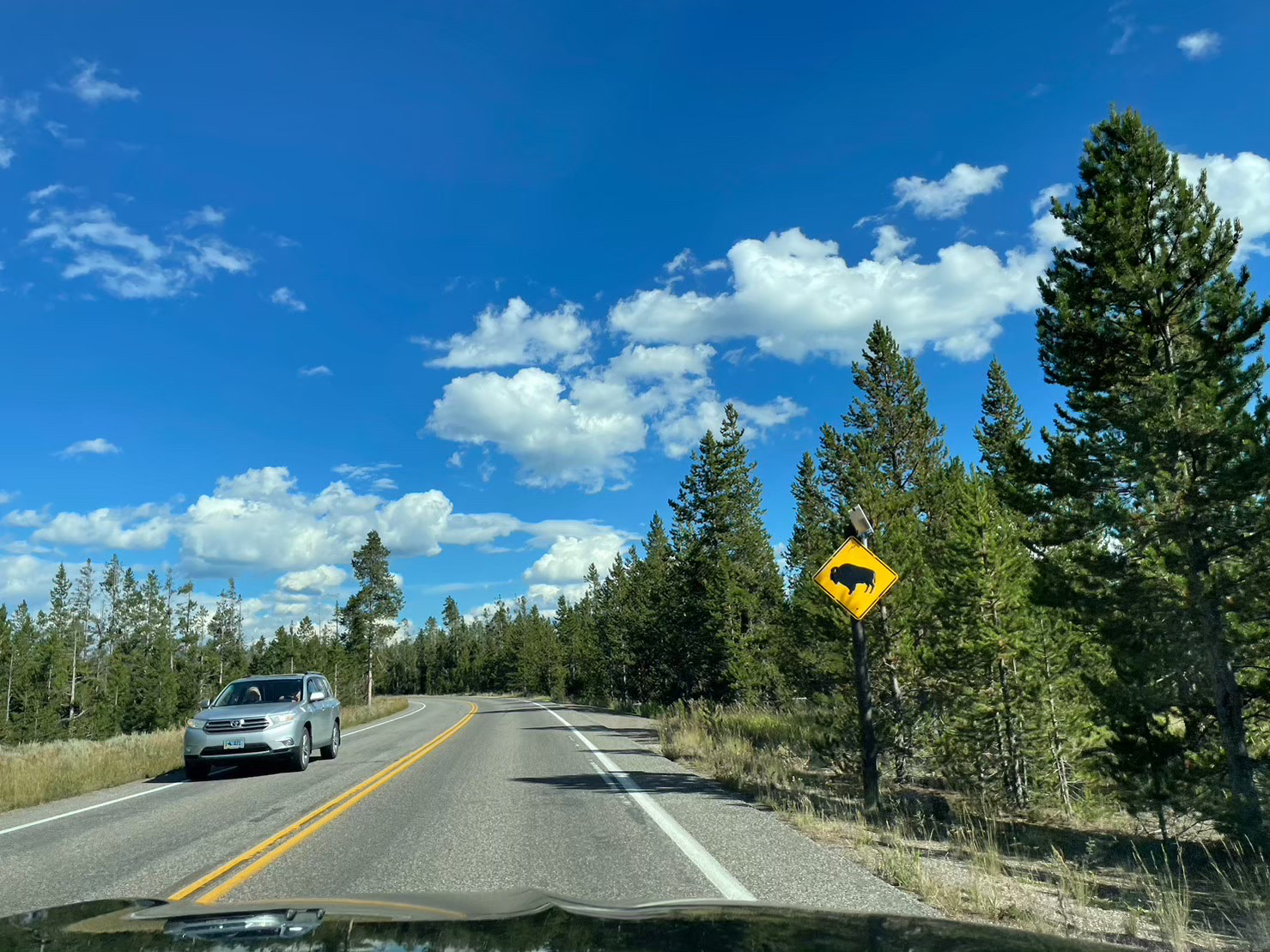 アメリカ新婚旅行【9日目】イエローストーン国立公園｜ハチドリ KR｜coconalaブログ