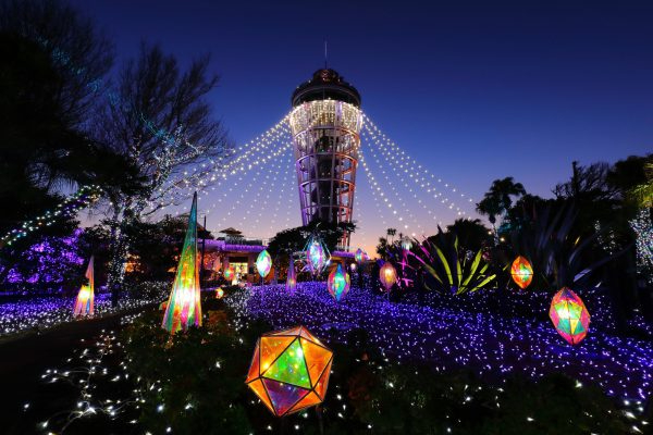 #389 冬を彩る光！ 夜景評論家がオススメする「イルミネーション5選」｜復縁メンター・ズバリ導与 ｜coconalaブログ