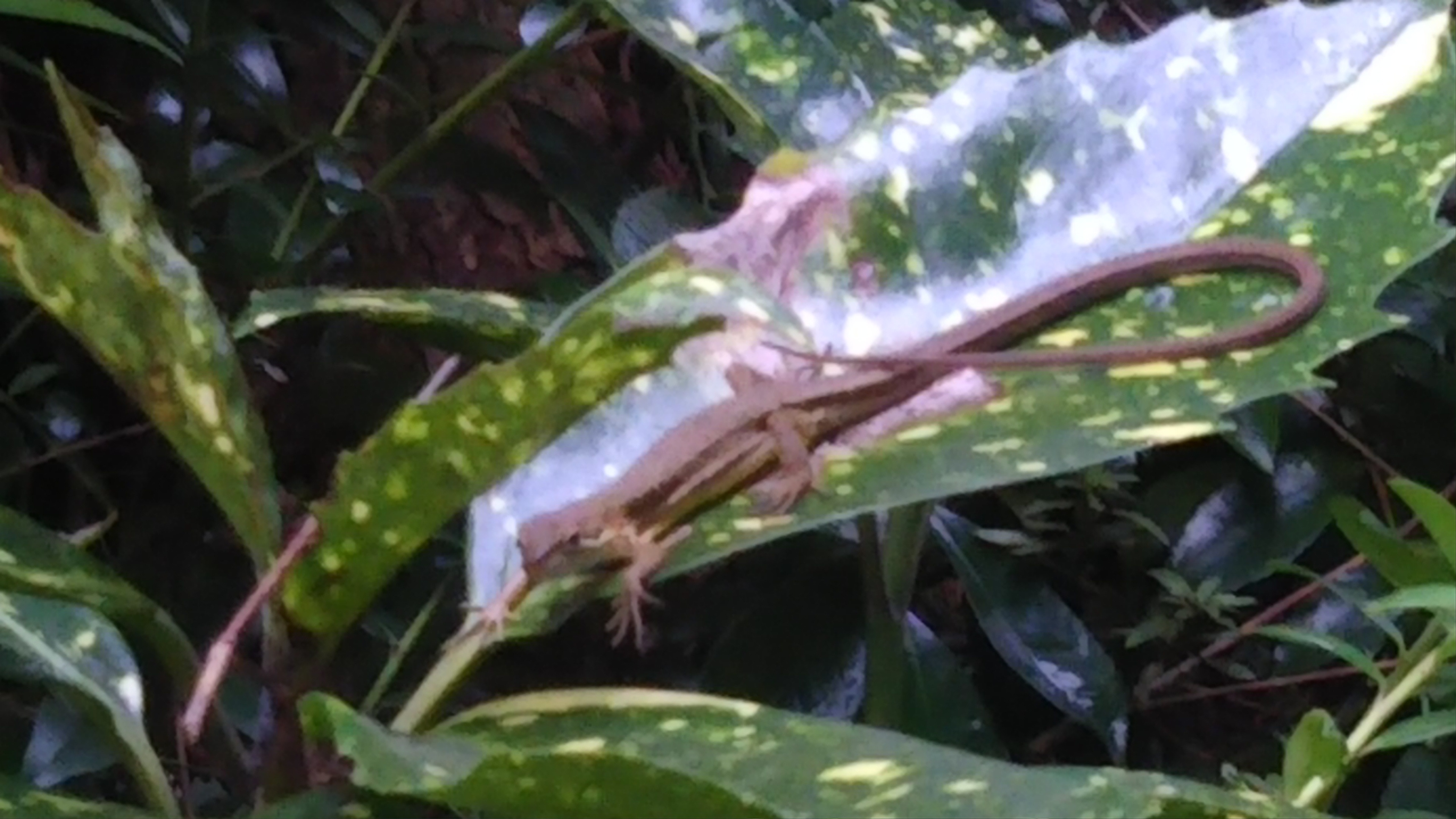 9月アレコレ｜nuneno｜coconalaブログ