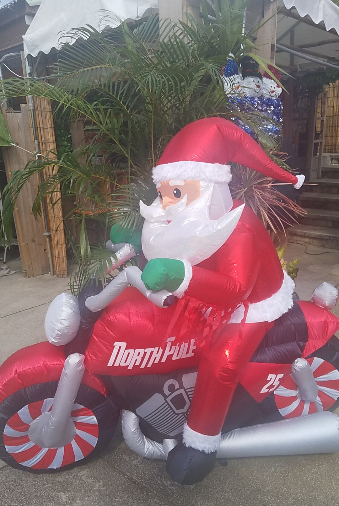 晩秋の沖縄 那覇編｜happy かりゆし｜coconalaブログ