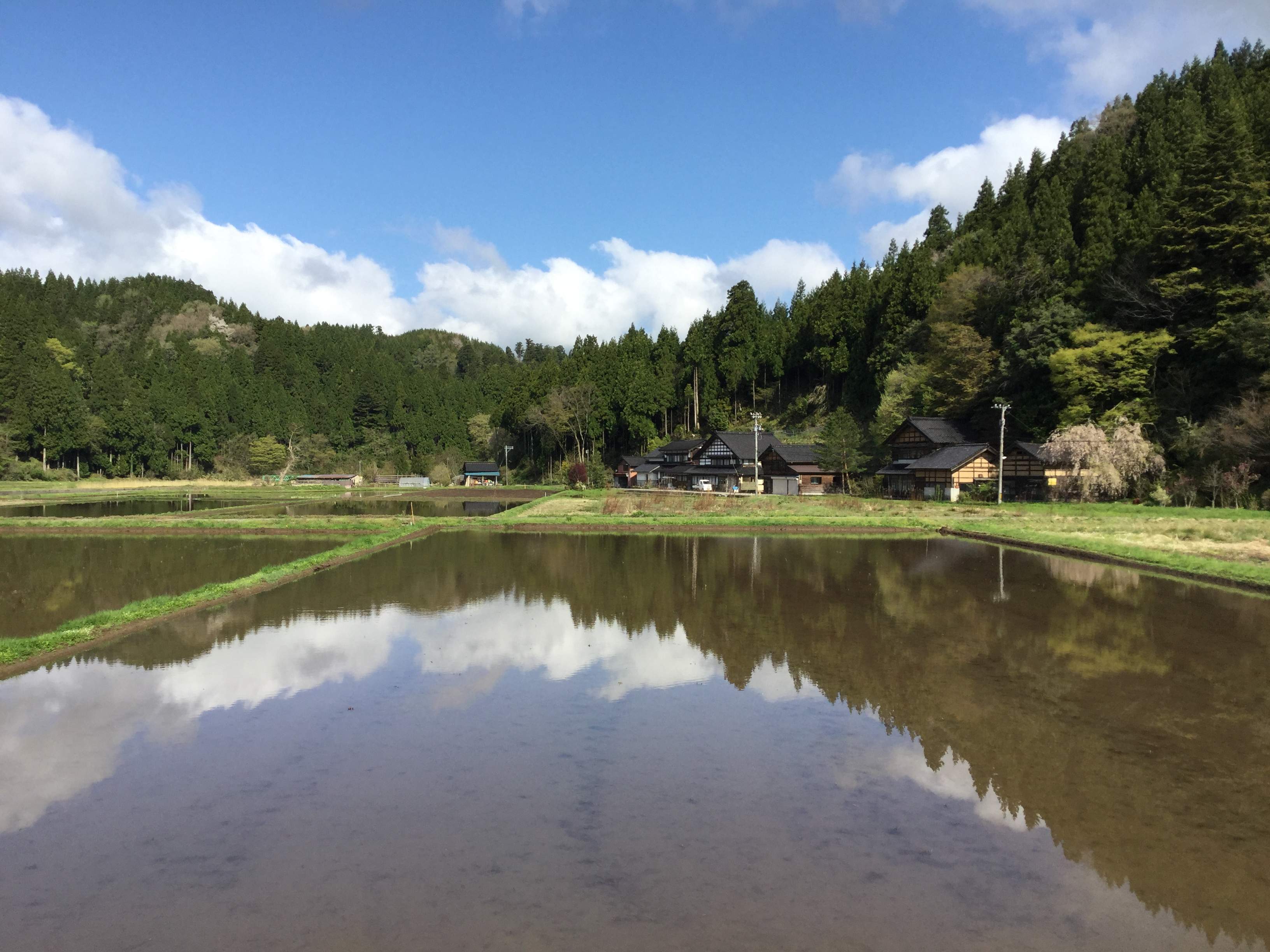 春の田園風景を描く｜株式会社Yo建築・環境設計室｜coconalaブログ