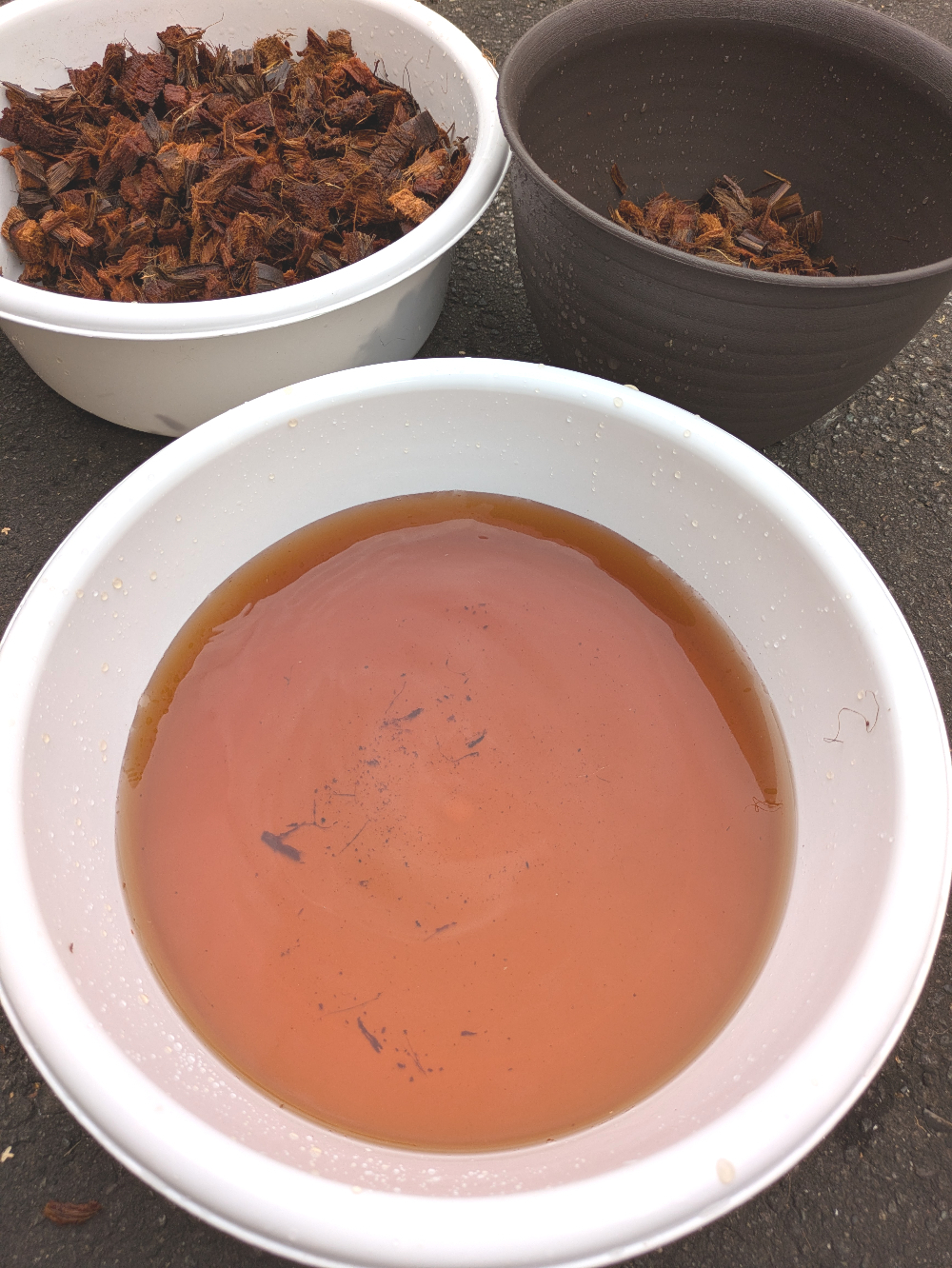 【リベンジ】ねこチップLサイズ自作・実録｜Tomomo_Illust｜coconalaブログ