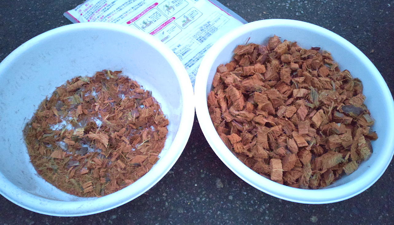 【リベンジ】ねこチップLサイズ自作・実録｜Tomomo_Illust｜coconalaブログ