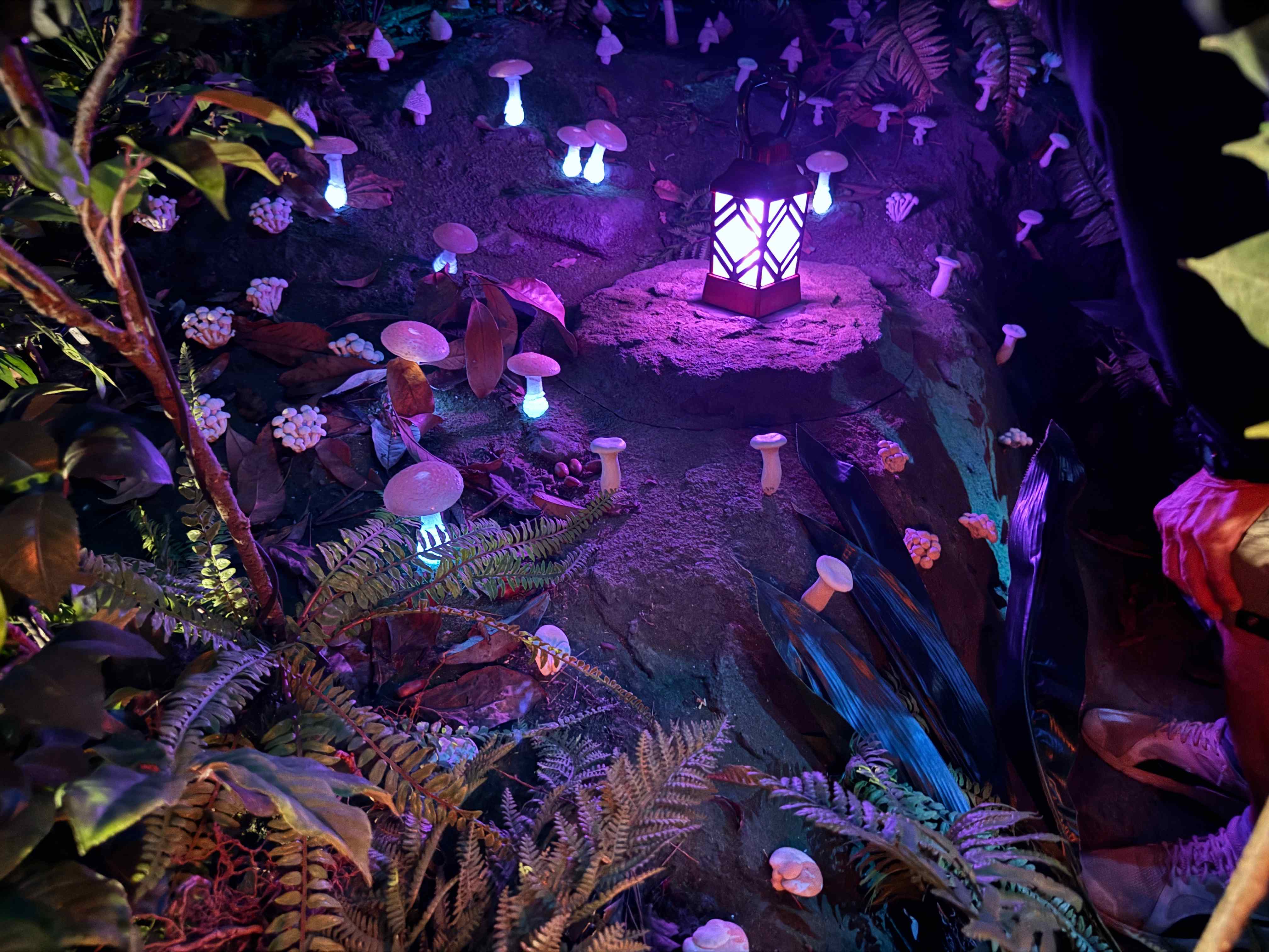 大阪万博にリベンジしてきた話③住友館｜あかつき_akatuki｜coconalaブログ