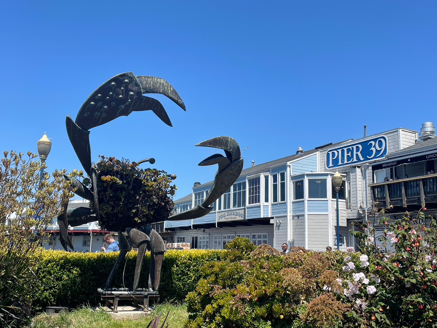 アメリカ新婚旅行【5日目】サンフランシスコ観光｜ハチドリ KR｜coconalaブログ