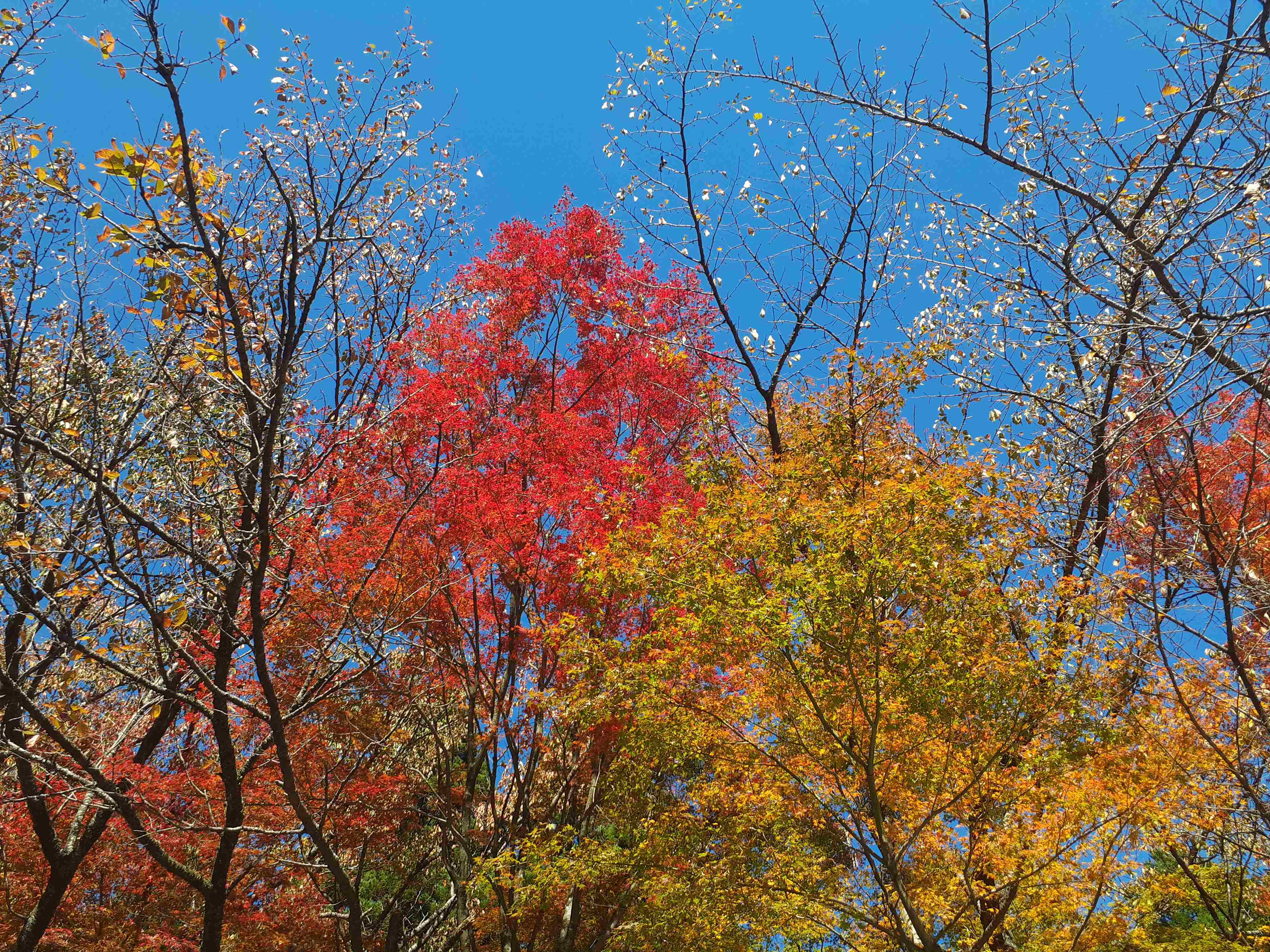 人生初…｜みどり＠0809｜coconalaブログ