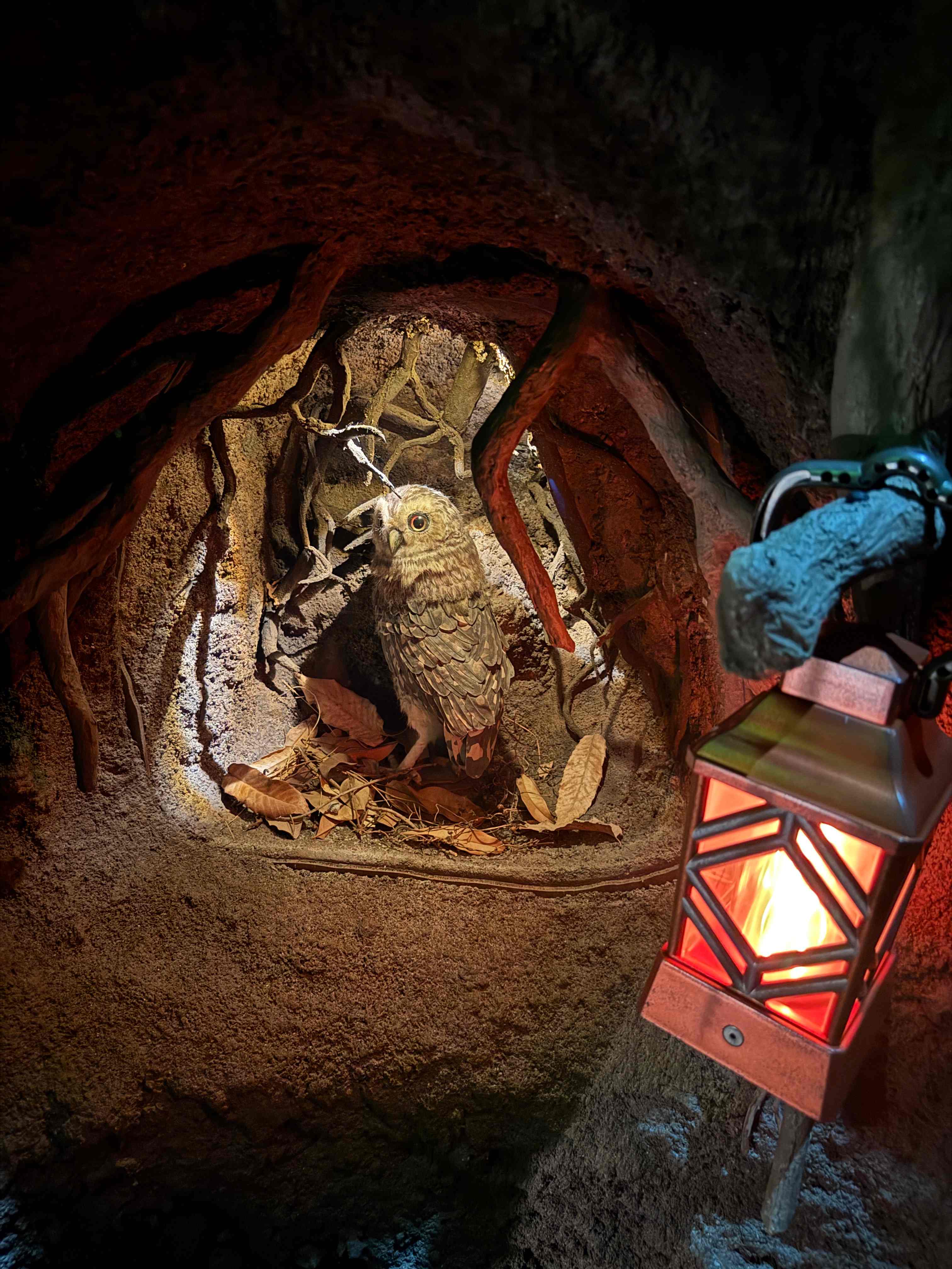 大阪万博にリベンジしてきた話③住友館｜あかつき_akatuki｜coconalaブログ