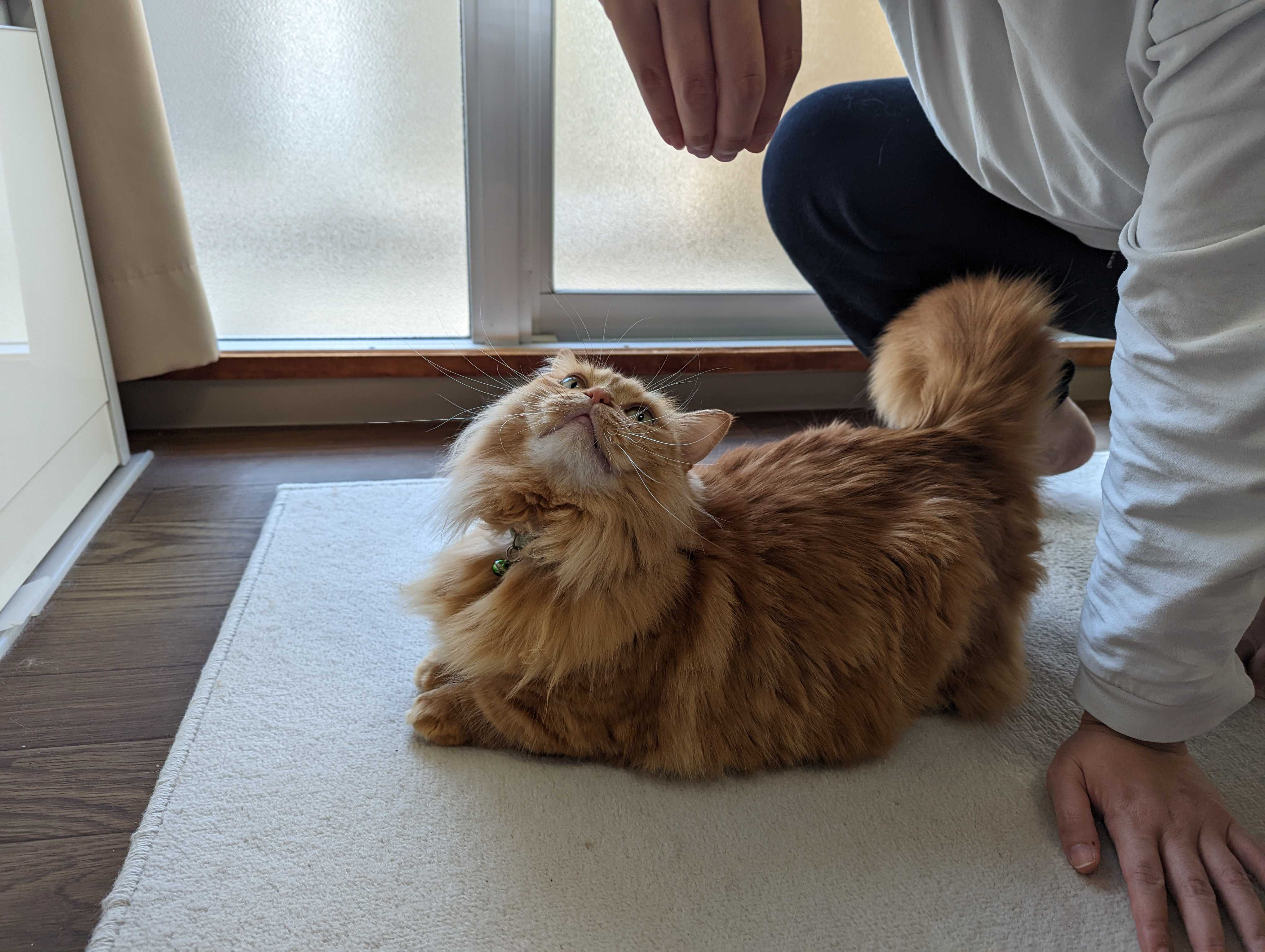 乙な時間｜Sachiko Uchiyama｜coconalaブログ