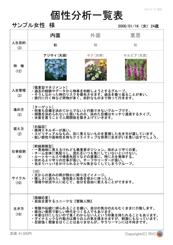 810.鑑定診断一覧・遠隔誘導｜RemoteViewer導与 ｜coconalaブログ