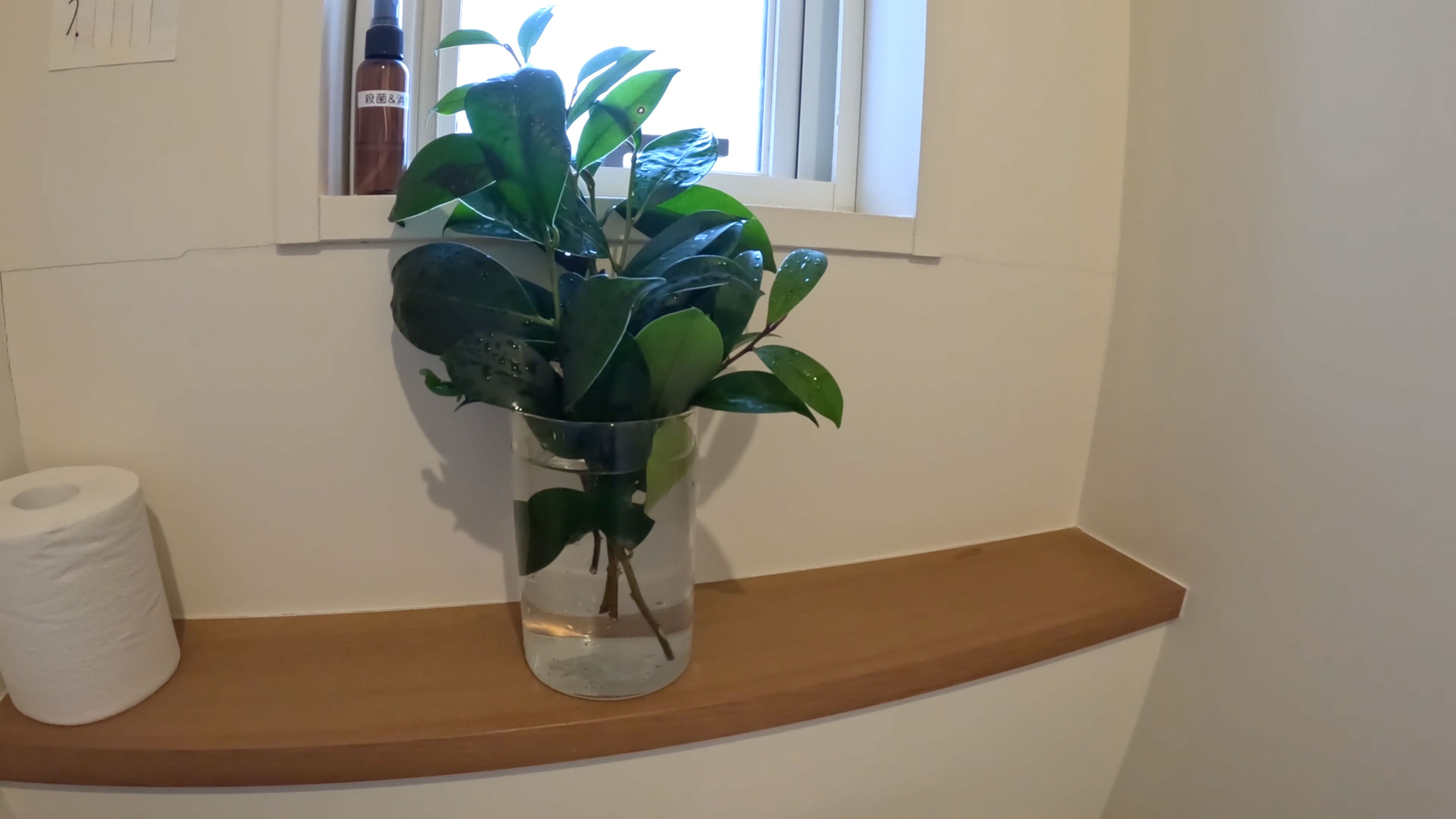 【浄化】トイレに榊｜あらかし時雨｜coconalaブログ