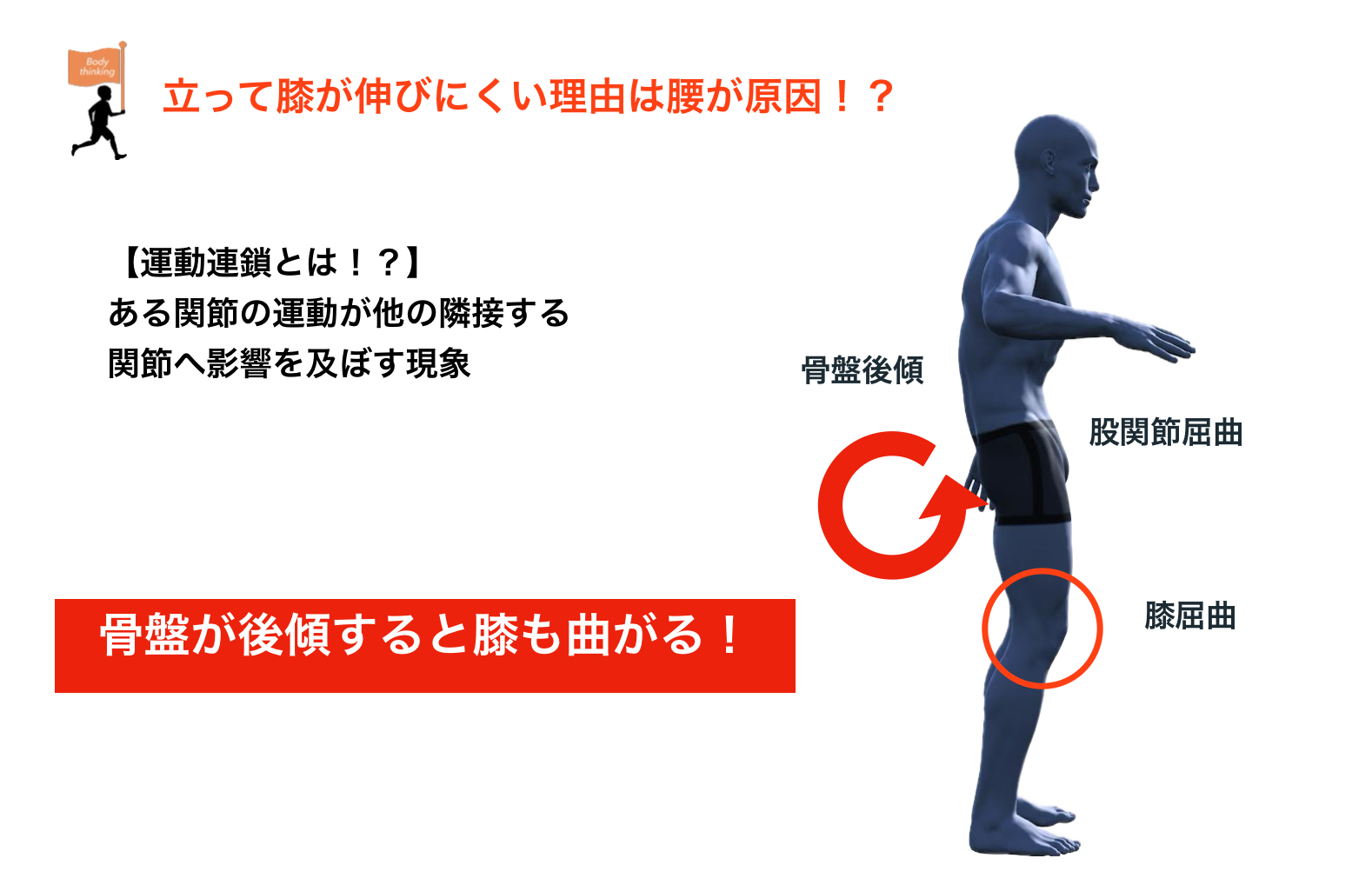 立って膝が伸びない理由は腰が原因！？｜藤PT｜coconalaブログ