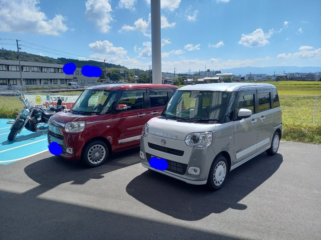 【キャンバス(ダイハツ)】(2022年～)｜車ガール・サツキ＠車選び・購入サポート｜coconalaブログ