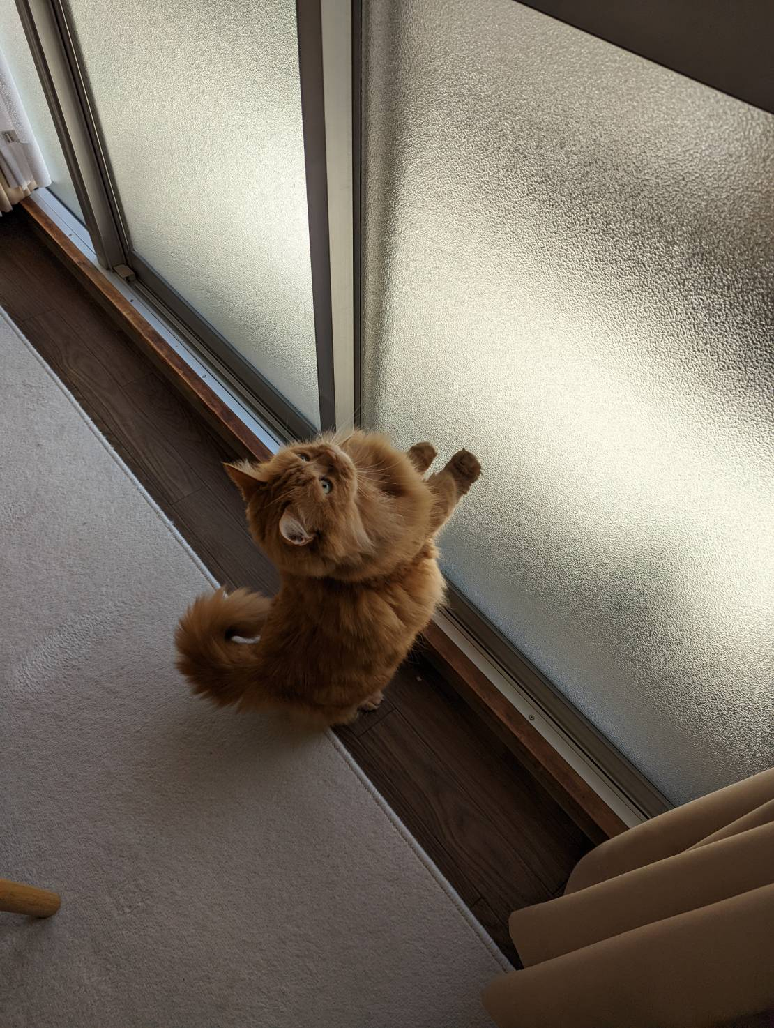 英語を勉強したいものです。｜Sachiko Uchiyama｜coconalaブログ