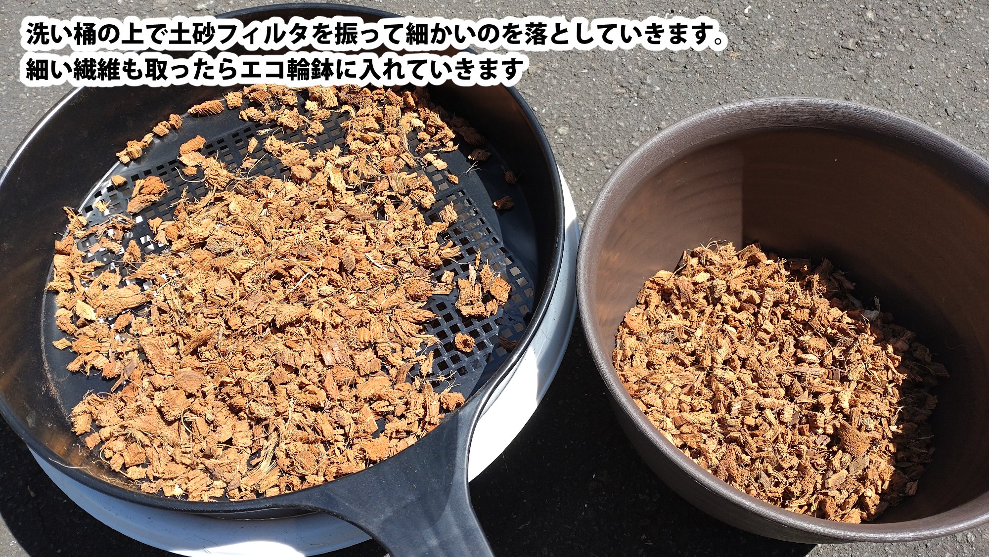 【低コスト】簡単！ねこチップの作り方・実録｜Tomomo_Illust｜coconalaブログ