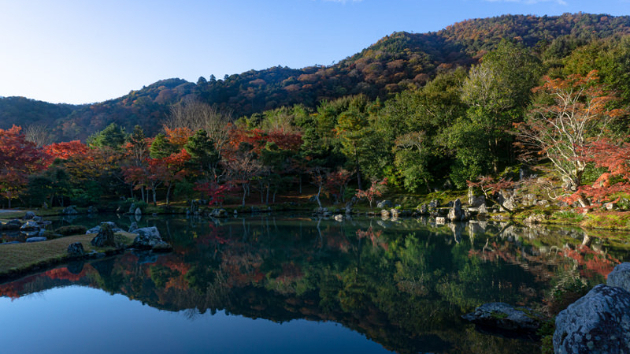 たちばなふみかブログ一覧｜coconalaブログ