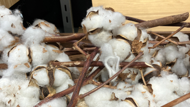 デザイナーのコンサル時代を紐解く｜ryuan1997｜coconalaブログ