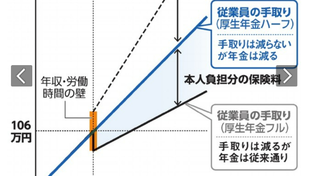 社会保険料負担がない「厚生年金ハーフ」とは？｜ヤルシカ FIRE済1級FP技能士｜coconalaブログ