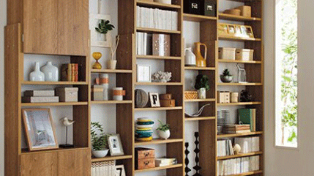 1229.国語力｜RemoteViewer導与 ｜coconalaブログ