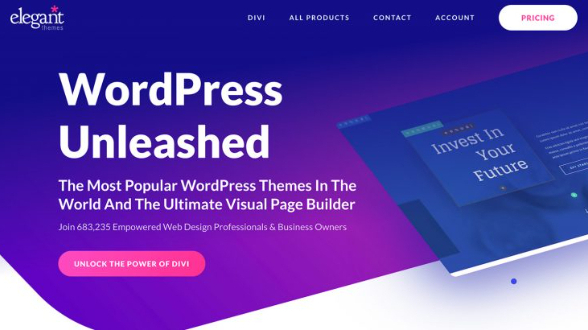 WordPress 世界一位の使用率を誇るElegant Themesについて解説【2024年】｜久保｜WordPressカスタマイズ｜coconalaブログ