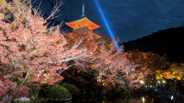 「島倉千代子特集ぅ～♪（22）」｜李レオン｜coconalaブログ