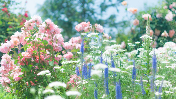 停滞感を吹き飛ばす⡱☾°̥࿐໒꒱ ⡱｜直感ラボ♡MAHO｜coconalaブログ