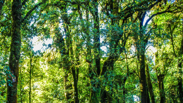 FPお兄さんブログ一覧｜coconalaブログ