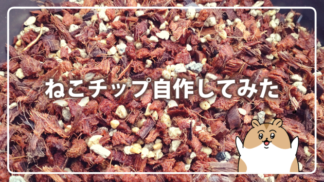 【低コスト】簡単！ねこチップの作り方・実録｜Tomomo_Illust｜coconalaブログ