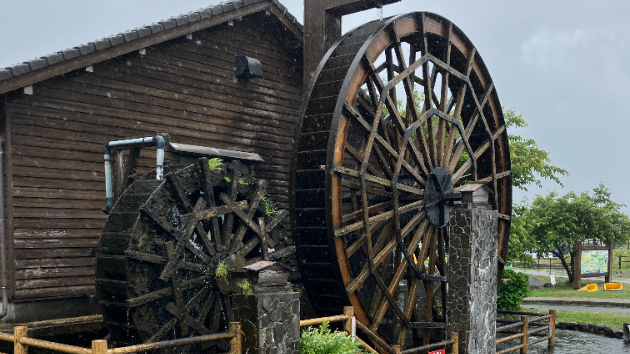 個性の表現｜ryuan1997｜coconalaブログ