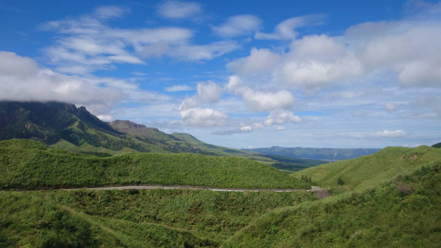 老舗というブランドについて｜ryuan1997｜coconalaブログ