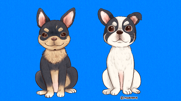 5月27日 愛犬をモデルにイラスト制作しました！｜マナナharu｜coconalaブログ