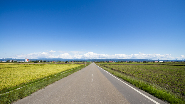 🧭来週の「うっかり地雷」を避ける7日間（5月26日〜6月1日）｜斎賀月子｜coconalaブログ