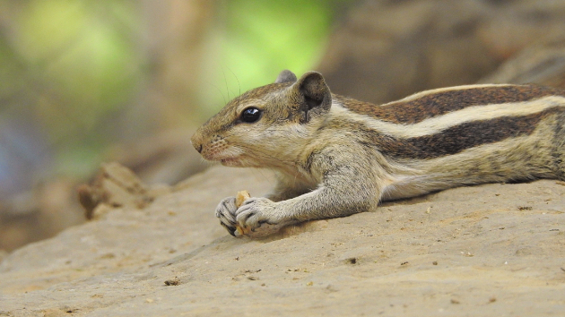ココナラ戦略⑤ 売れるプロフィールの書き方【口だけの実績は論外】｜_kenblog_｜coconalaブログ