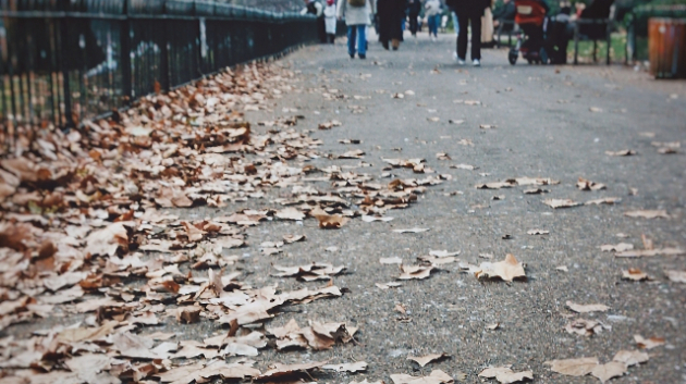 儚さと美しさ｜｜yuuki｜｜coconalaブログ