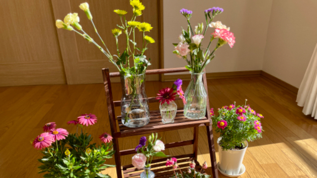 熱田神宮(上知我麻神社)｜cocoroココロ｜coconalaブログ