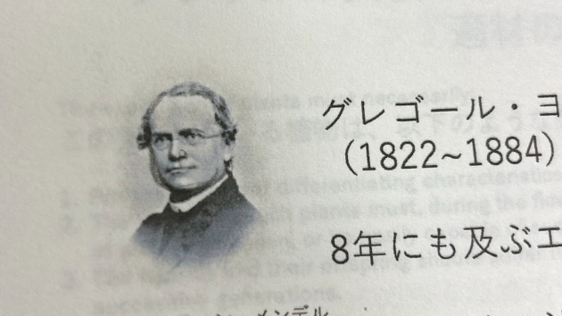 こんな時に｜＊とく＊｜coconalaブログ