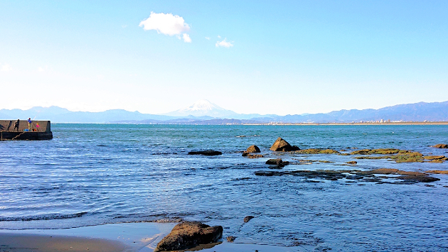 今週のスケジュール｜真美夜★ｽﾋﾟﾘﾁｭｱﾙ鑑定士｜coconalaブログ